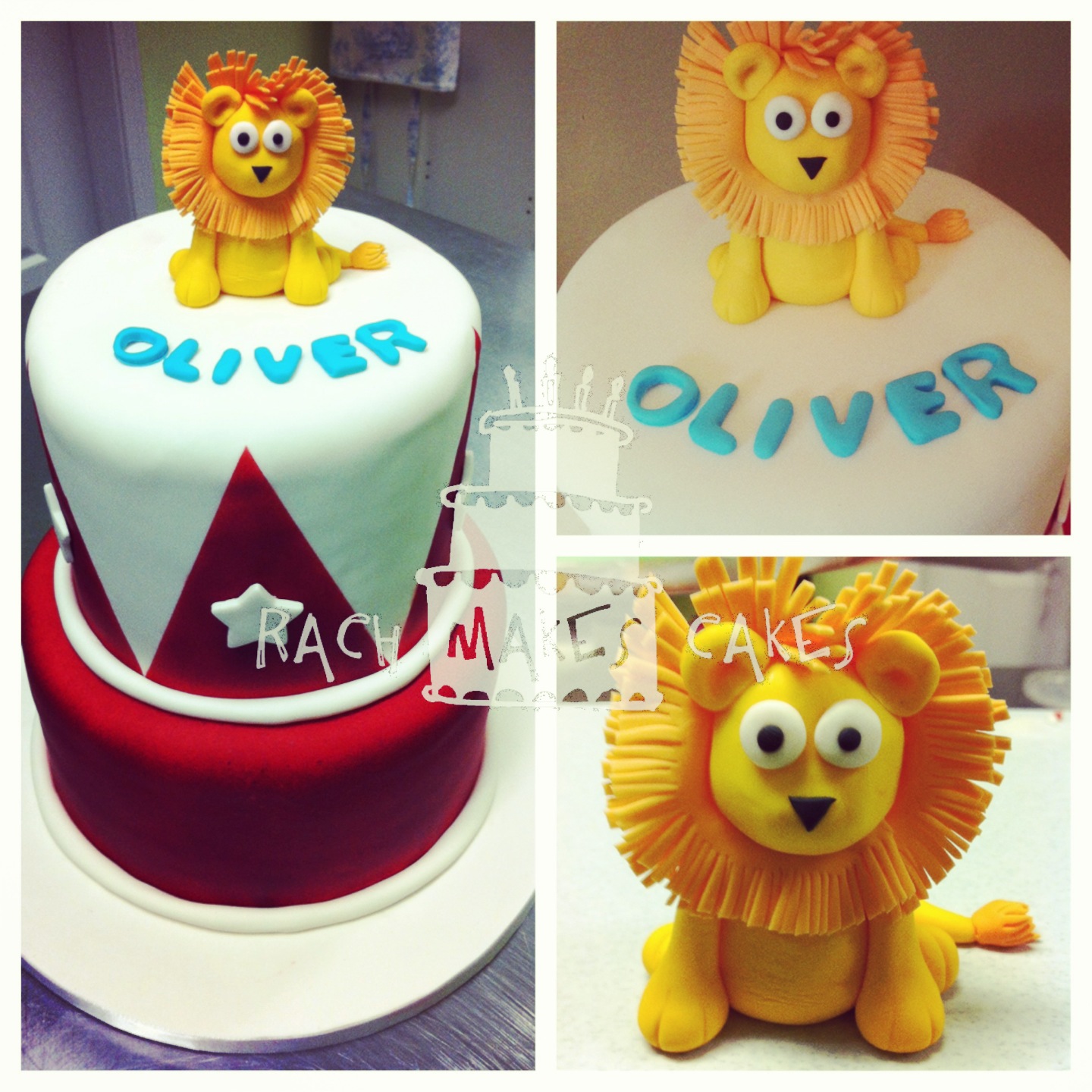 Little Lion Man - Rach Makes Cakes