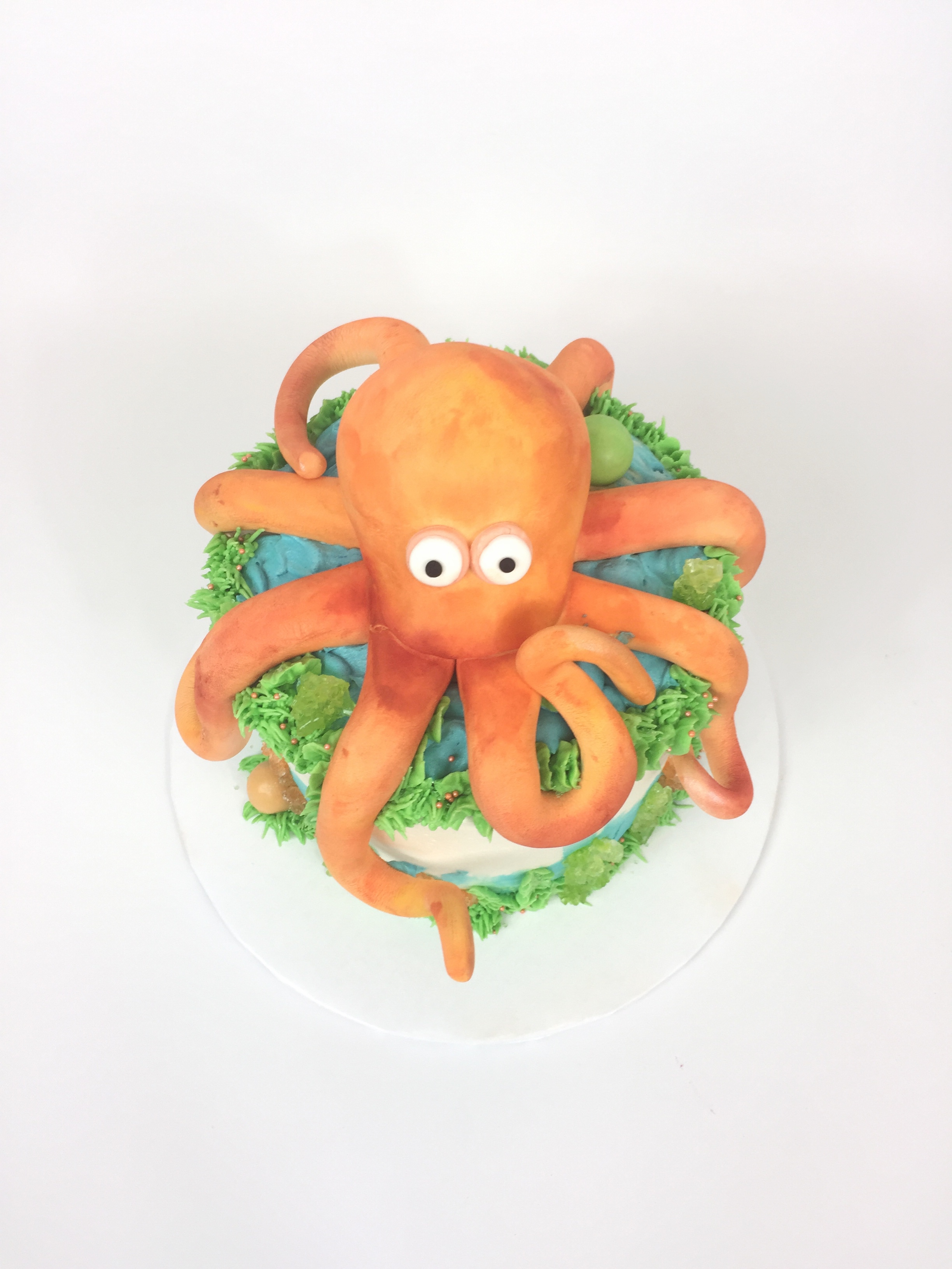Octopus Cake - Rach Makes Cakes